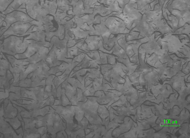 取扱い材質 FC300｜浜北工業株式会社